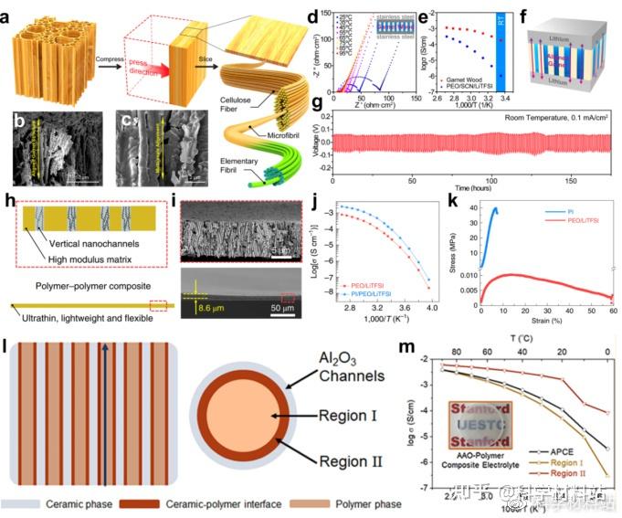 武汉理工大学徐林教授CEJ：3D框架填料在复合聚合物电解质中的研究进展 - 知乎
