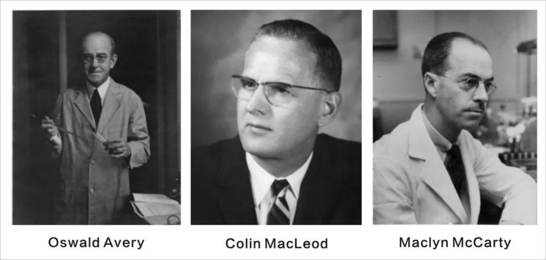 DNA简史：遗传物质的发现之旅 - 知乎