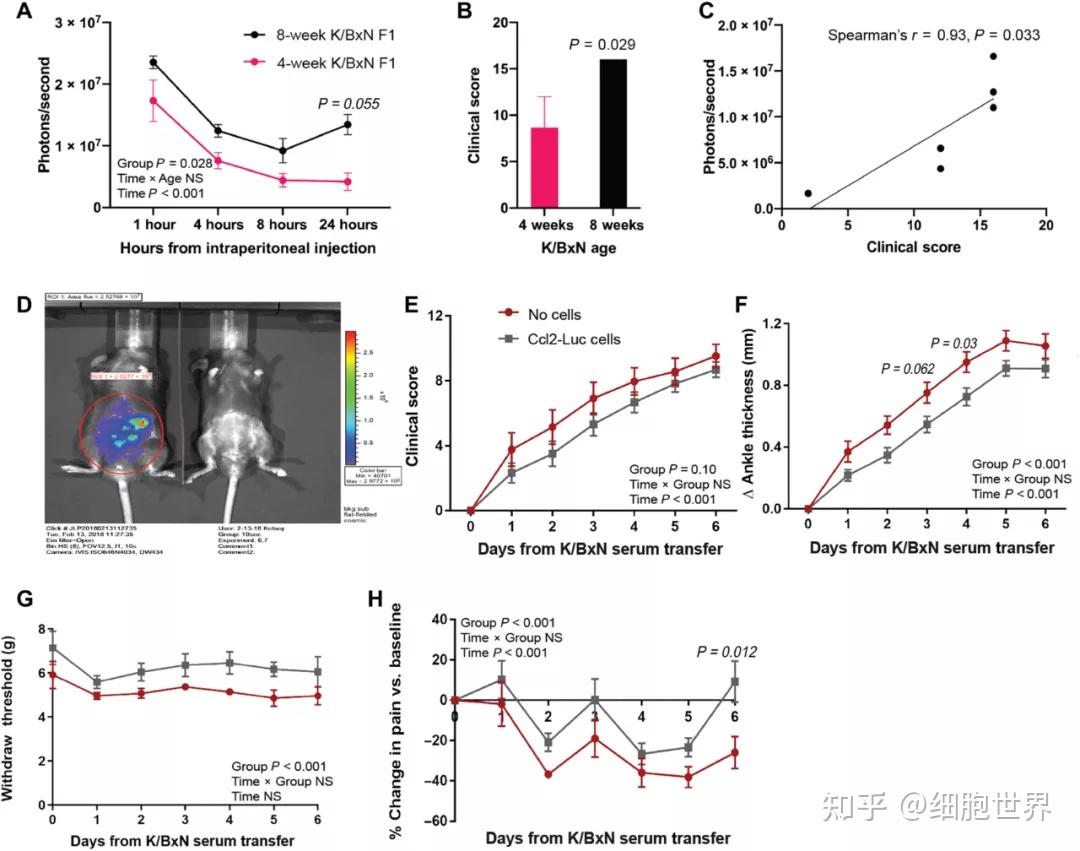 Sci Adv | CRISPR工程细胞植入体内释放药物应对炎症 - 知乎
