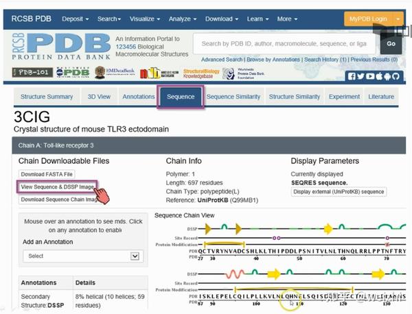 山东大学生物信息学学习笔记7—蛋白质二级结构预测与分析以及三级结构介绍 - 知乎