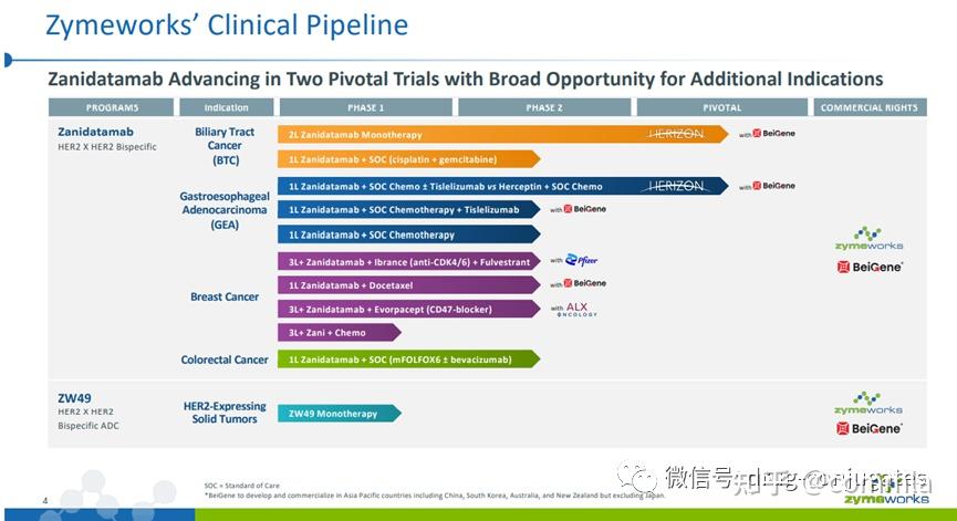 Zymeworks：双抗及双抗ADC技术梳理 - 知乎