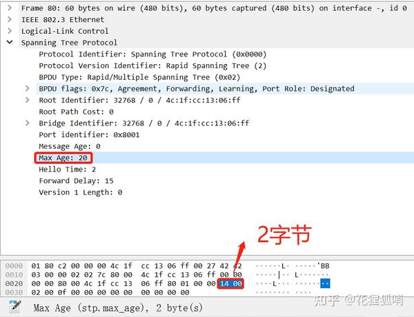 RSTP报文格式 - 知乎
