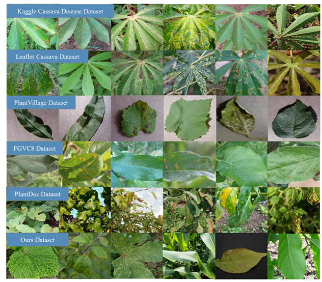 PDDD-PreTrain：一系列常用的预训练模型支持基于图像的植物病害诊断 - 知乎