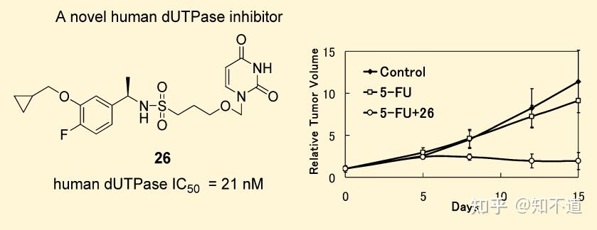 人dUTPase抑制剂compound26的发现历程 - 知乎