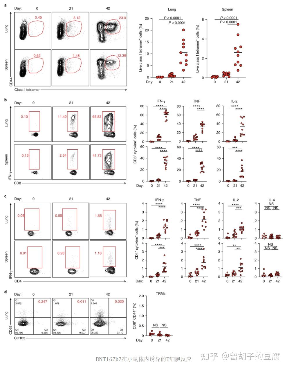 新冠|辉瑞BNT162b2 mRNA疫苗的免疫机制 - 知乎