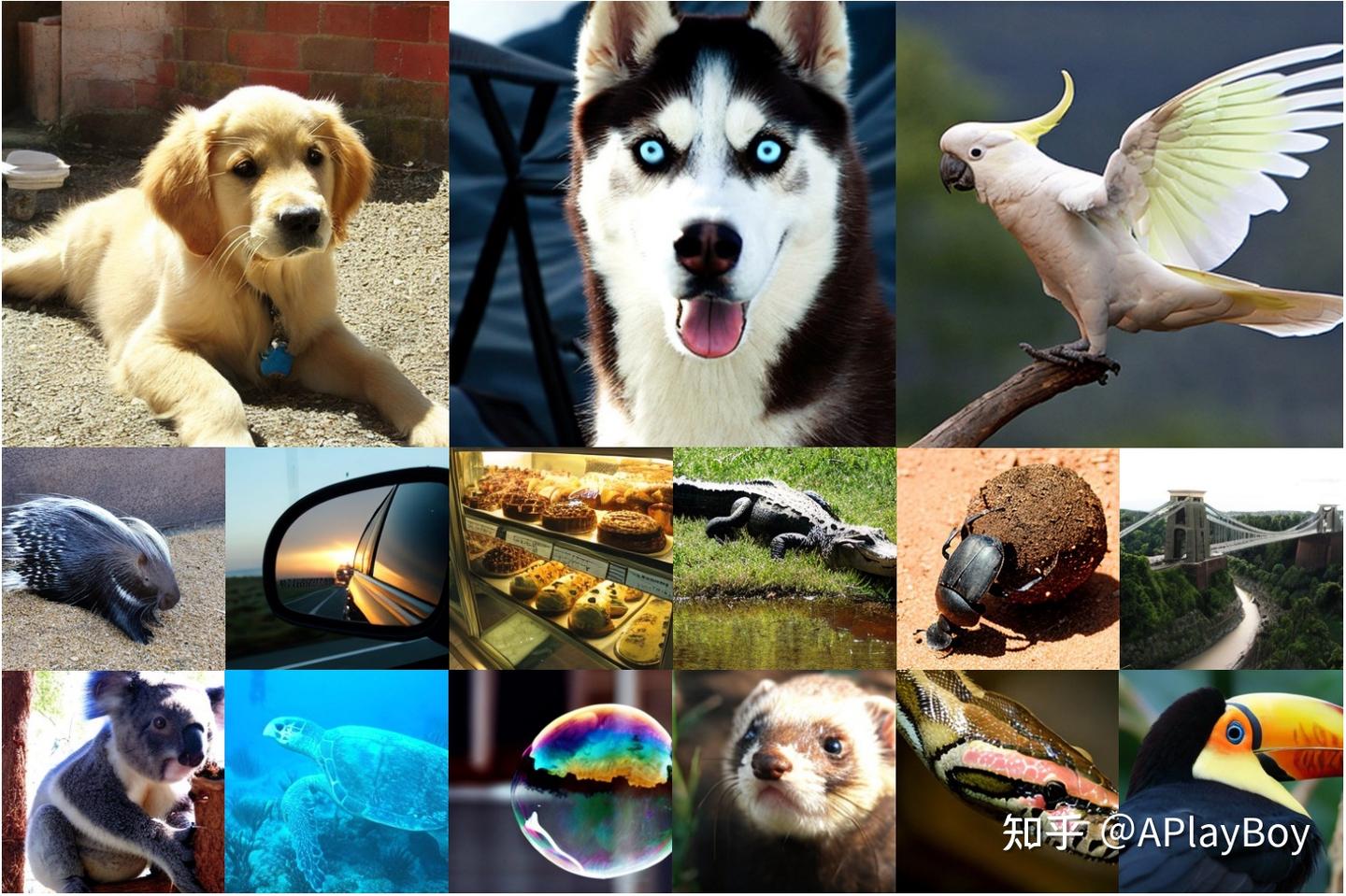 Sora的核心工作DiT: Scalable Diffusion Models with Transformers 全文解读 - 知乎