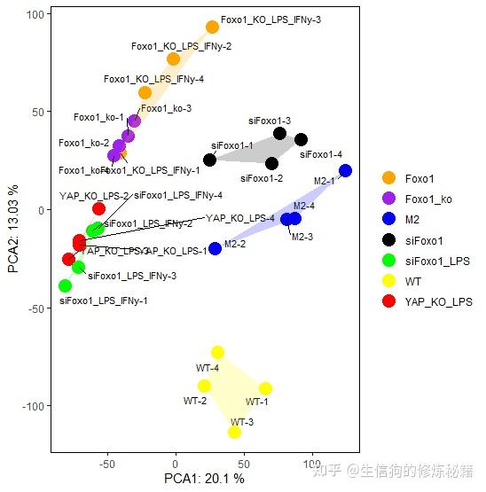 R语言—画带基因名标签的PCA主成分分析图 - 知乎