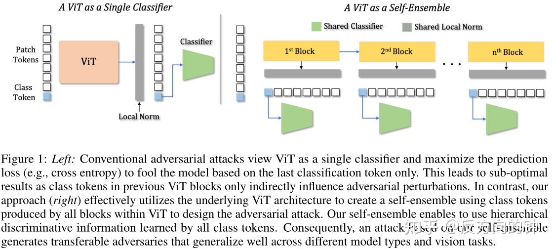 ViT对抗总结 - 知乎