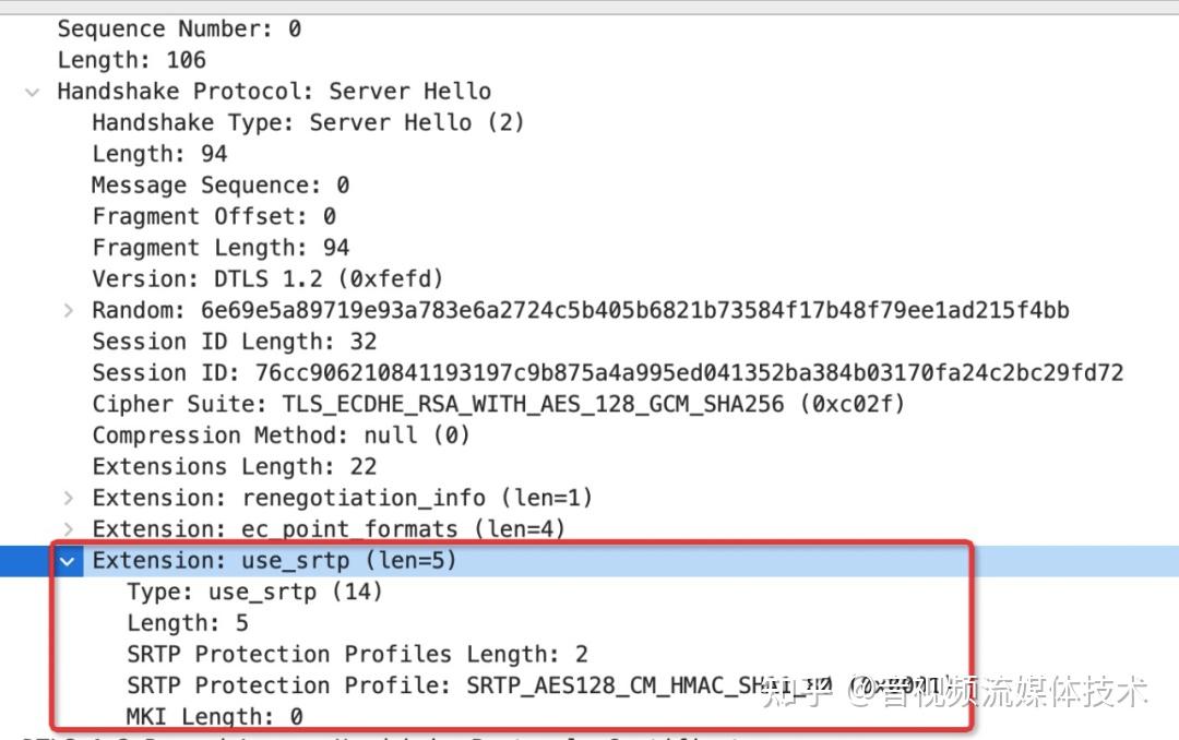 详解 WebRTC 传输安全机制：一文读懂 DTLS 协议 - 知乎