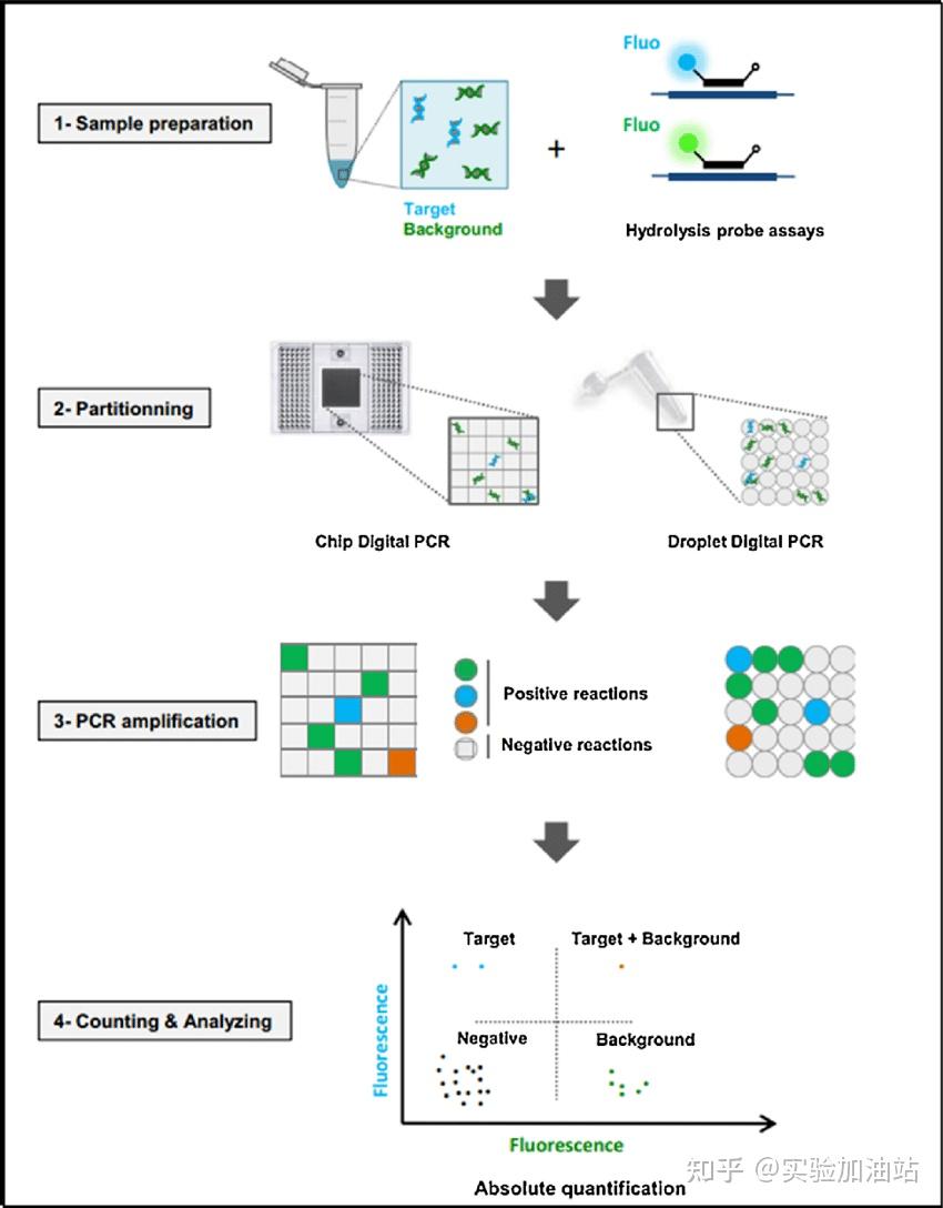 一文读懂：PCR，qPCR，Real-time PCR，RT-PCR和RT-qPCR - 知乎