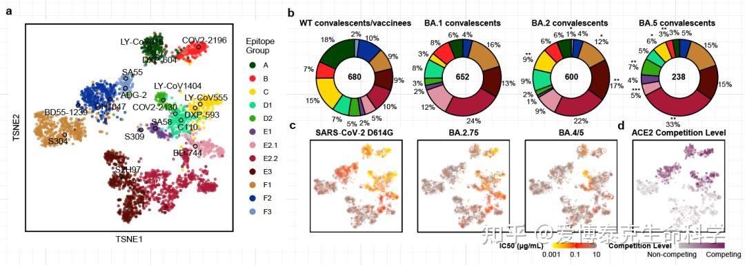Nature：谢晓亮/曹云龙团队破解新冠病毒演化趋势 - 知乎