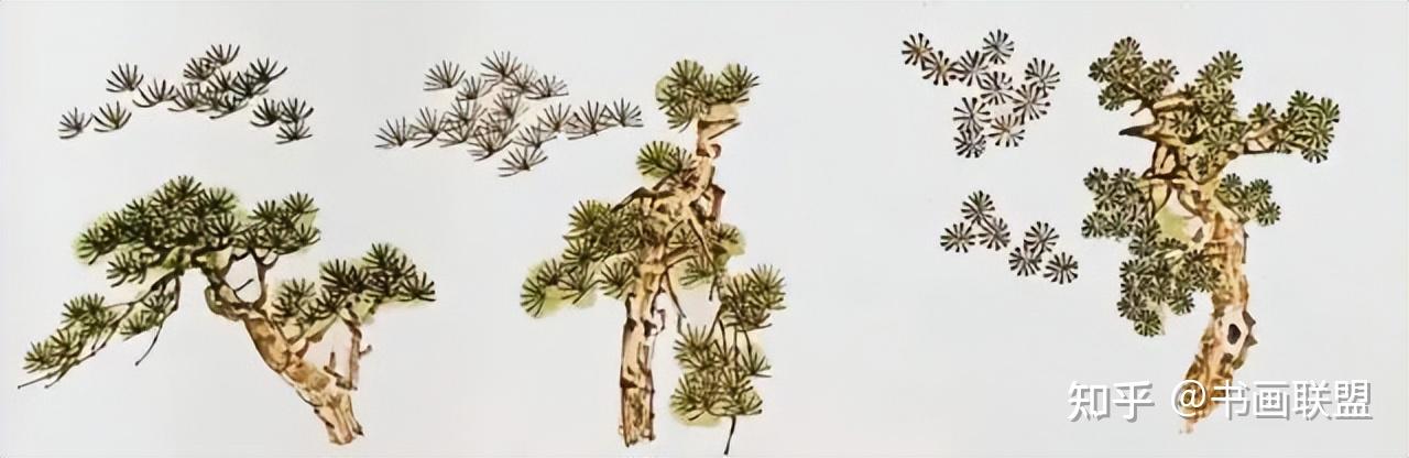 国画技法 松树的各种画法 - 知乎