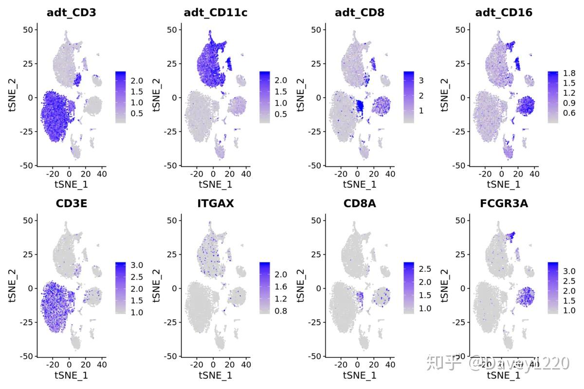 Seurat包学习笔记（五）：Using Seurat with multi-modal data - 知乎