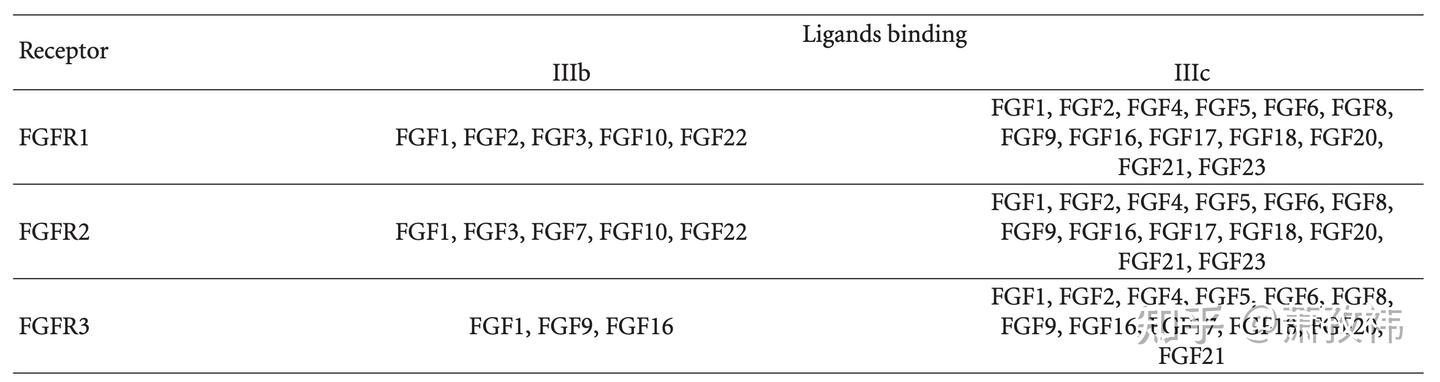 FGFR2b：胃癌新靶点 - 知乎
