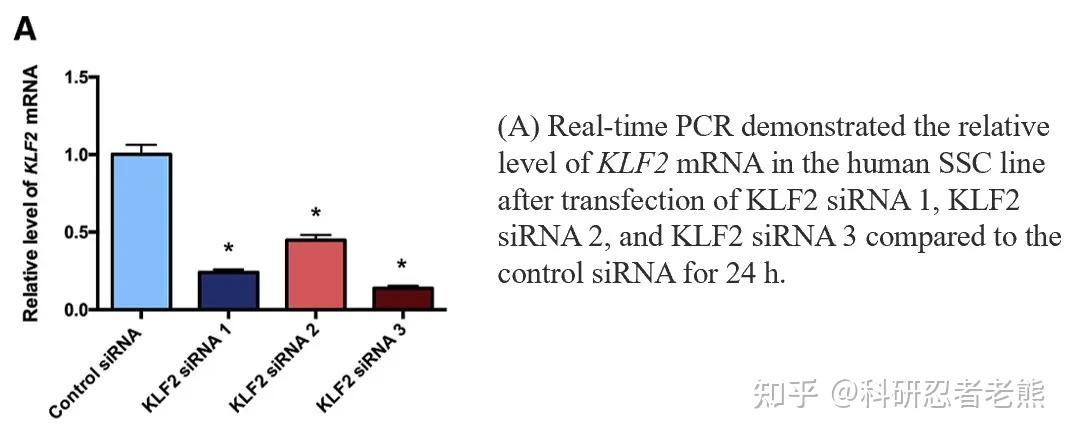 siRNA 实验指南：设计、转染与结果分析全流程 - 知乎
