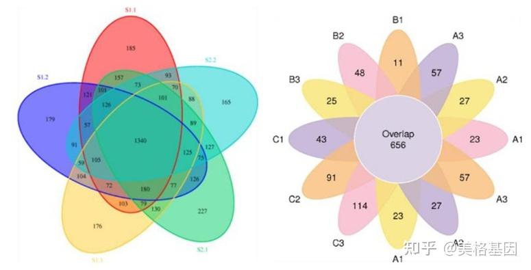 云工具 |动态Venn图绘制 - 知乎