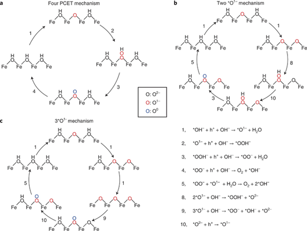 今日Nature Catalysis：OER重大发现，多空穴机理 - 知乎