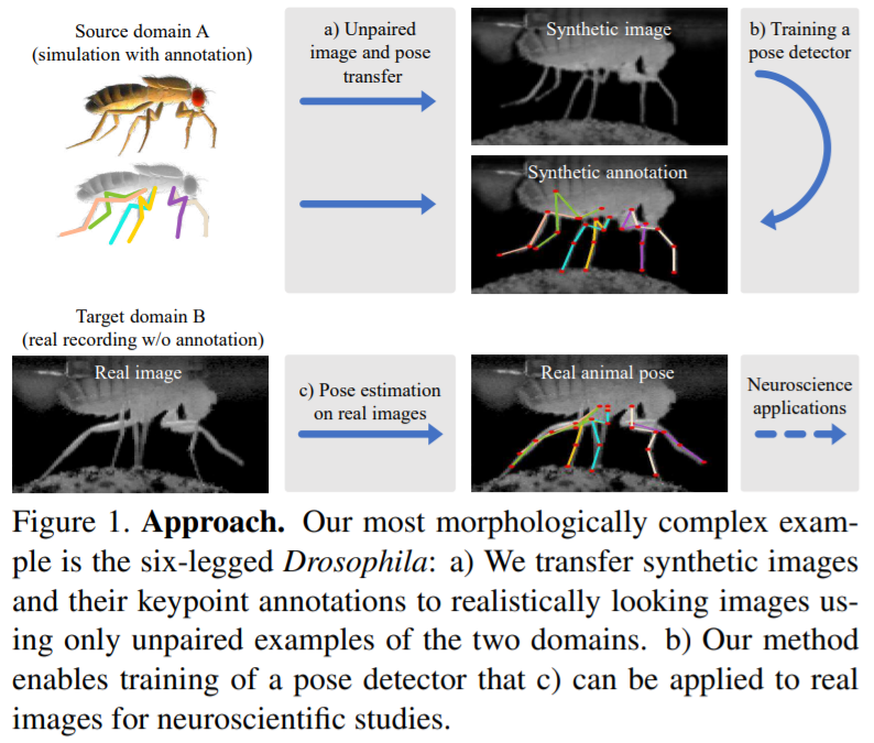CVPR 2020 | 11篇GAN图像转换img2img 的论文 - 知乎