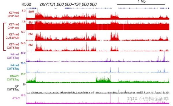 什么！？Cut&tag究竟是个怎样的技术？ - 知乎