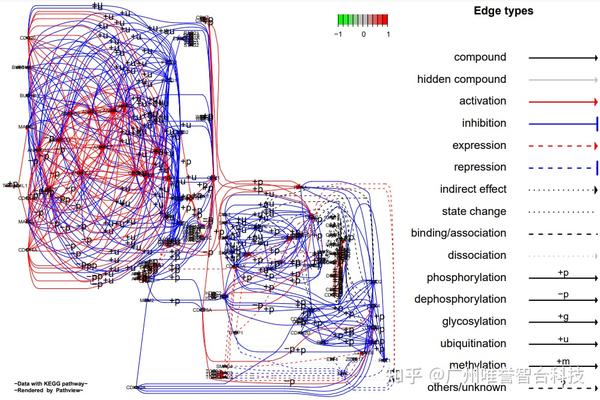 如何用Pathview画出高大上的基因与代谢通路热图？ - 知乎