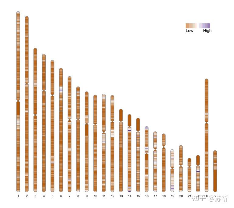 RIdeogram：使用R包绘制染色体信息 - 知乎