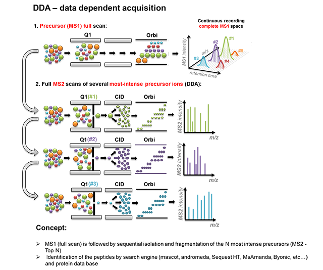 蛋白质谱定量技术——Direct DIA - 知乎