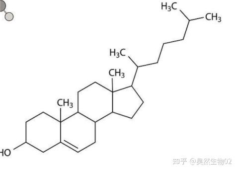 DOTA-PEG-cholesterol，DOTA-PEG-CHEMS ，大环化合物DOTA-聚乙二醇-胆固醇 - 知乎