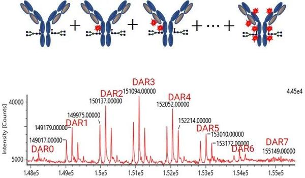 基于LC-MS技术的抗体偶联药物（ADC）药代动力学生物分析策略 - 知乎