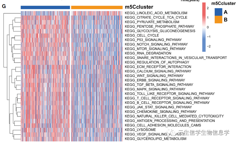 国自然新热点-m5C！学会这个能让你的生信分析文章弯道超车，7分+文章轻松到手！ - 知乎