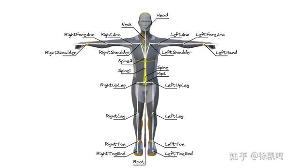 【UE5】给Animation加一点料-格式篇（一）-BVH - 知乎