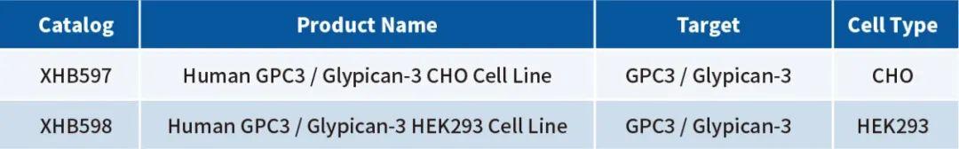三优药讯｜GPC3 CAR-T细胞联合索拉非尼，肿瘤病灶完全消失 - 知乎