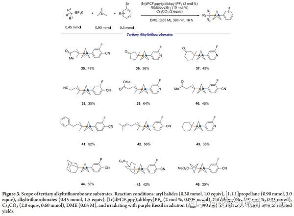Molander小组JACS：镍/光氧化还原双催化[1.1.1]螺桨烷的双碳官能化合成芳基化双环[1.1.1]戊烷 - 知乎