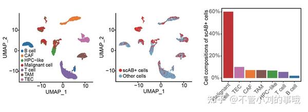 Rna Seq与scrna Seq数据的联合分析方法（bulk与单细胞数据联合分析） 知乎
