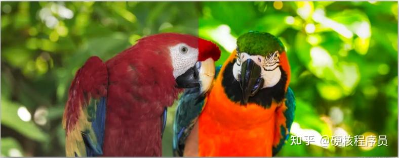 Android OpenGL—LutFilter：3D LUT简介与应用 - 知乎