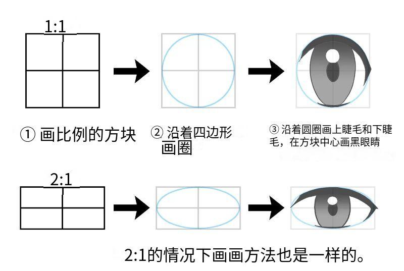 画出你想画的眼睛!从眼睛基础知识到绘制步骤! 知乎