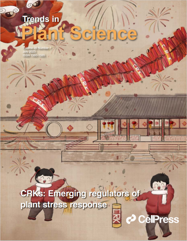 Trends in Plant Science发表封面故事，系统总结类受体激酶CRK的功能 - 知乎