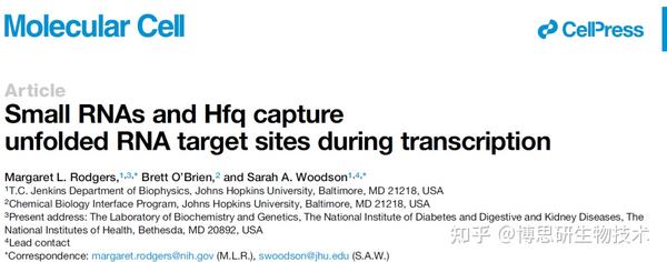 Mol Cell | 小RNA和核蛋白Hfq通过结合新生RNA调控基因表达 - 知乎