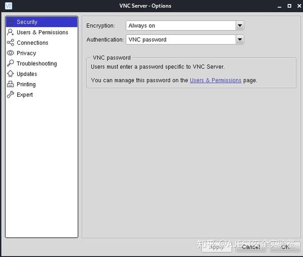 [环境搭建] Kali 下安装VNC Server - 知乎