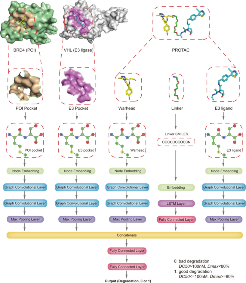 Nat. Commun. | DeepPROTACs: 基于深度学习的PROTACs降解药效预测模型 - 知乎