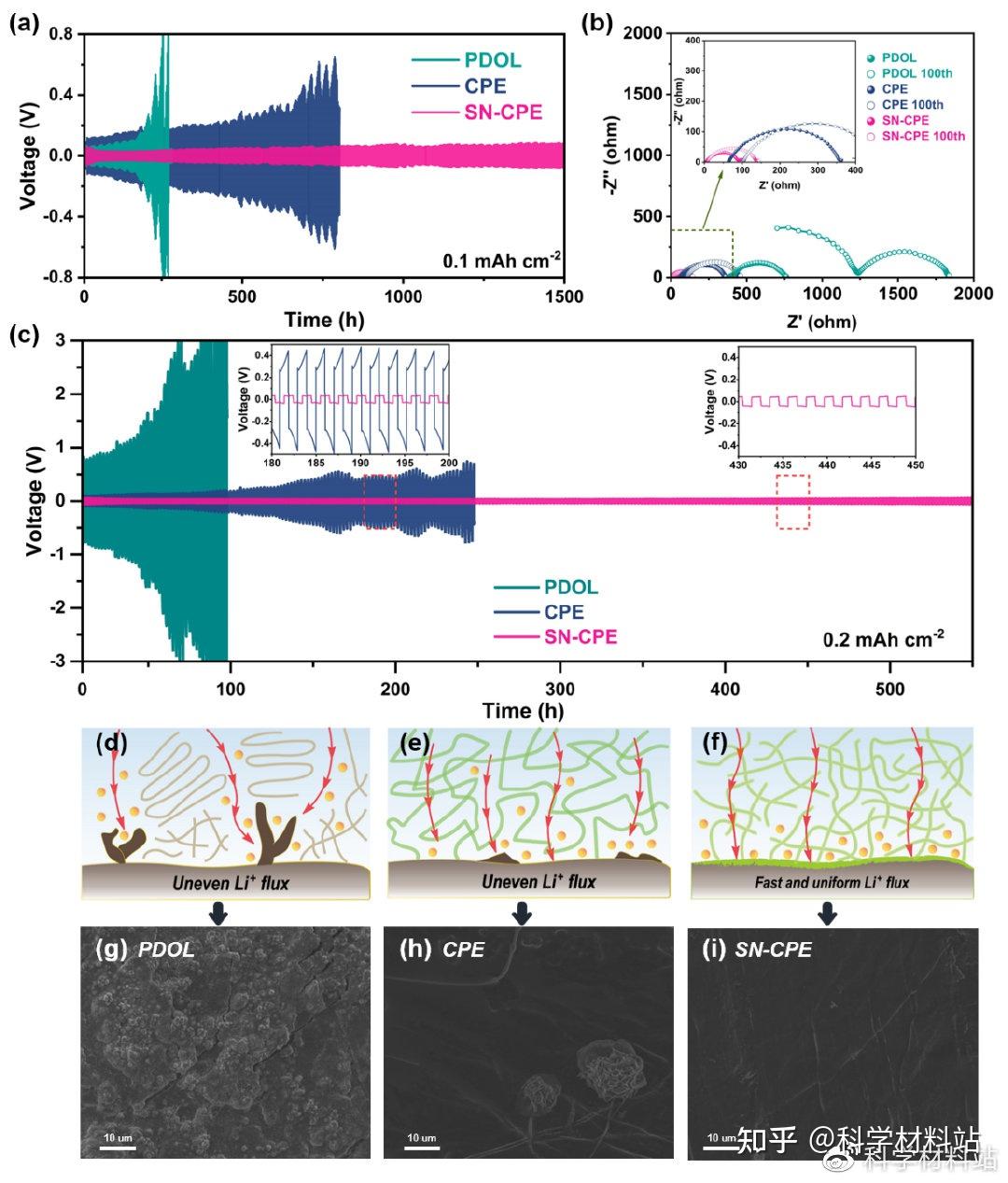深圳大学JMCA：原位共聚合反应合成的聚合物电解质用于无枝晶的准固态锂金属电池 - 知乎