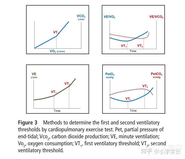 运动处方制定必备技能之心肺运动试验（CPET）— 通气阈（VT）的定义与测定 - 知乎