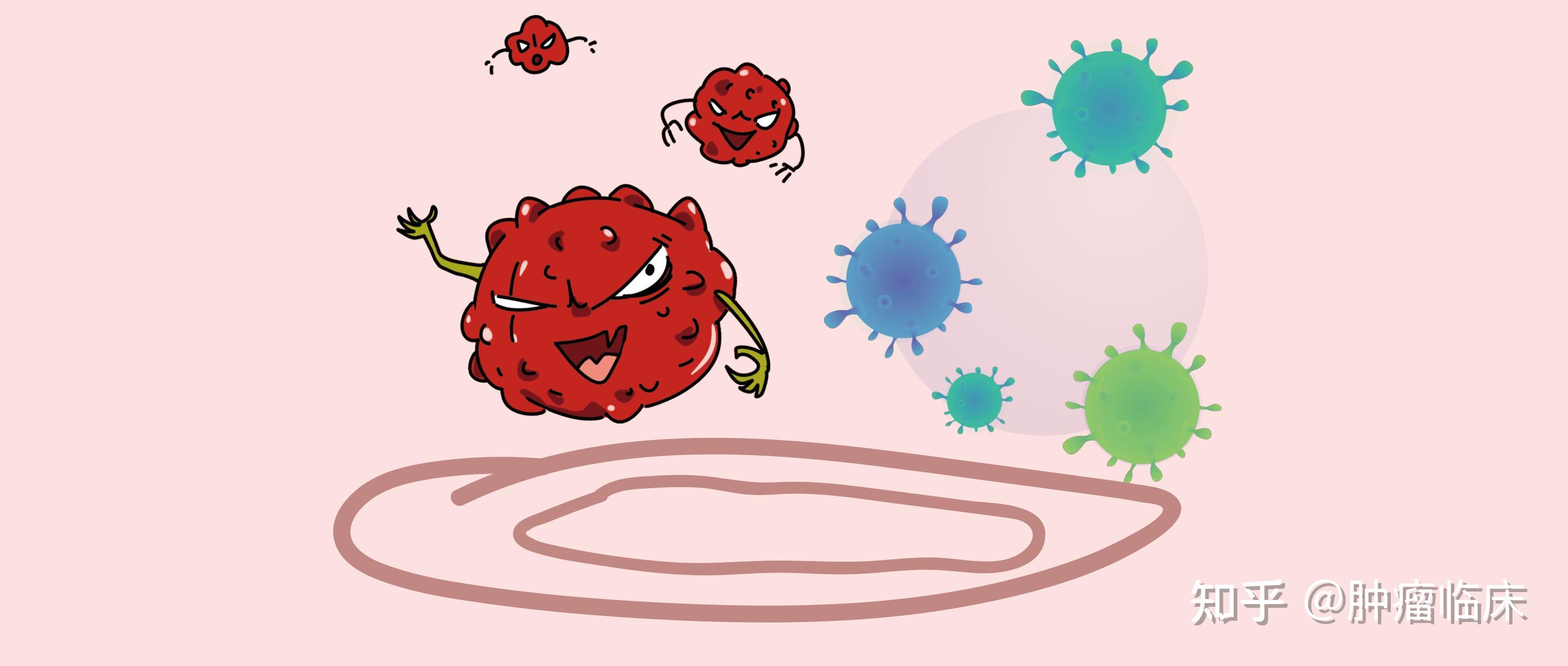 SHR-A1811治疗HER2+乳腺癌ORR达82.2% - 知乎