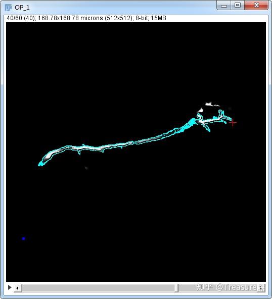ImageJ实用技巧——Simple Neurite Tracer(插件篇) - 知乎