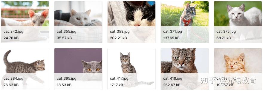 【AIGC培训系列：AI智能绘图——从入门到精通】Diffusion Models 101：AI揭秘：AI只是在制作拼贴画吗？ - 知乎
