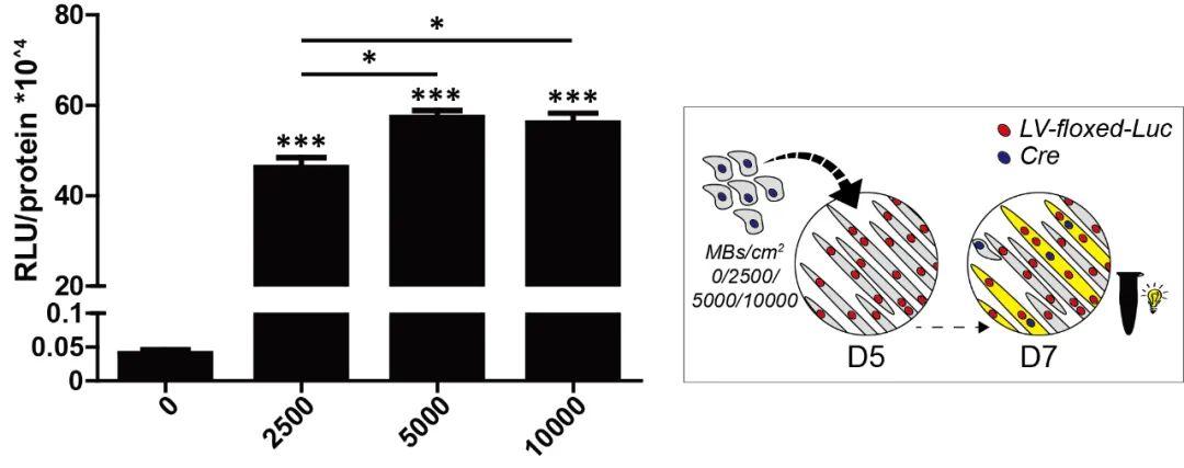Cre全系列产品——你想要的我都有 - 知乎