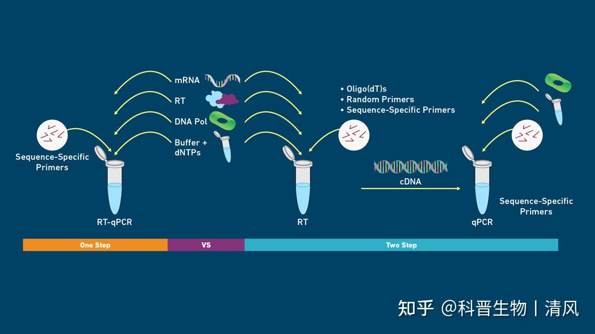 qPCR 分析、qPCR 仪器的工作原理及 qPCR 实验方案 - 知乎