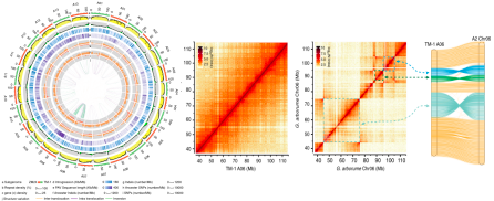 泛基因组(Pan-genome)研究思路与应用—作物篇 - 知乎