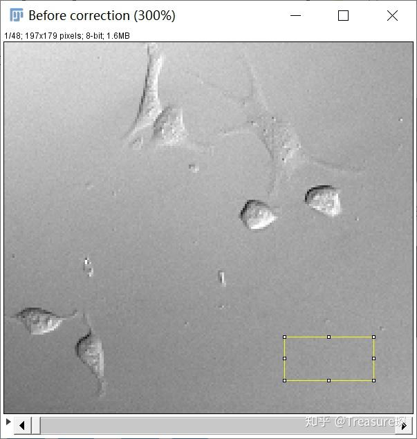 ImageJ实用教程——轴向光照不均校正(基本功能篇) - 知乎