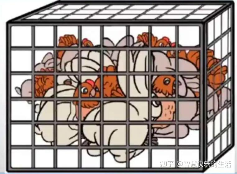 应用题板块-鸡兔同笼问题（小学奥数四年级） - 知乎