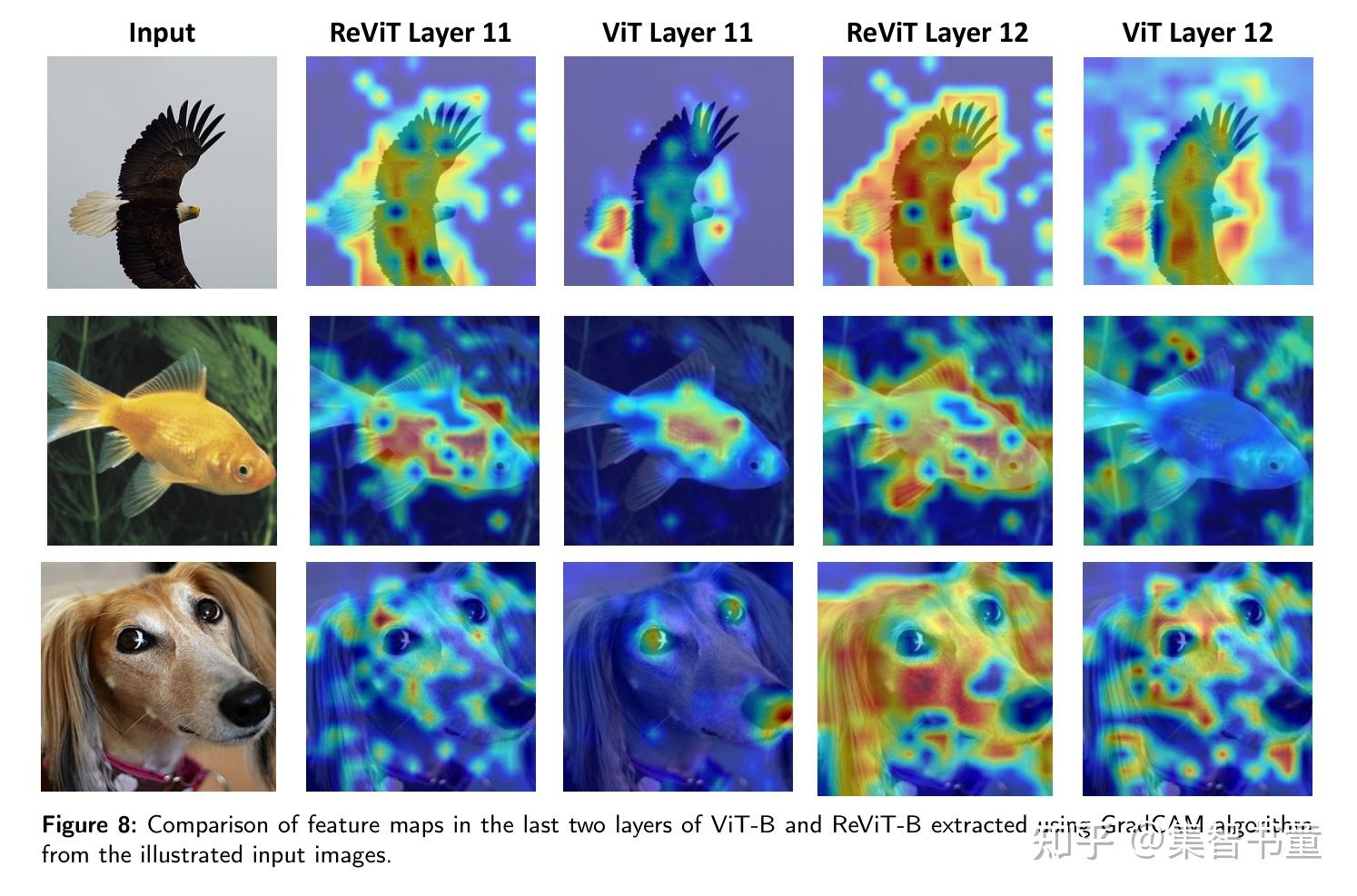 ReViT来袭 | 基于全新残差注意力机制改进ViT架构，增强视觉特征的多样性以及模型的鲁棒性 - 知乎